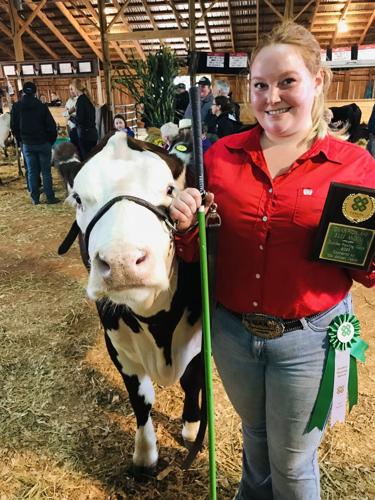 4-H cattle show at Dundas agricultural fair | The Eastern Graphic ...