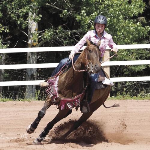 Pollock enjoys successful year with PEI 4-H projects, events ...
