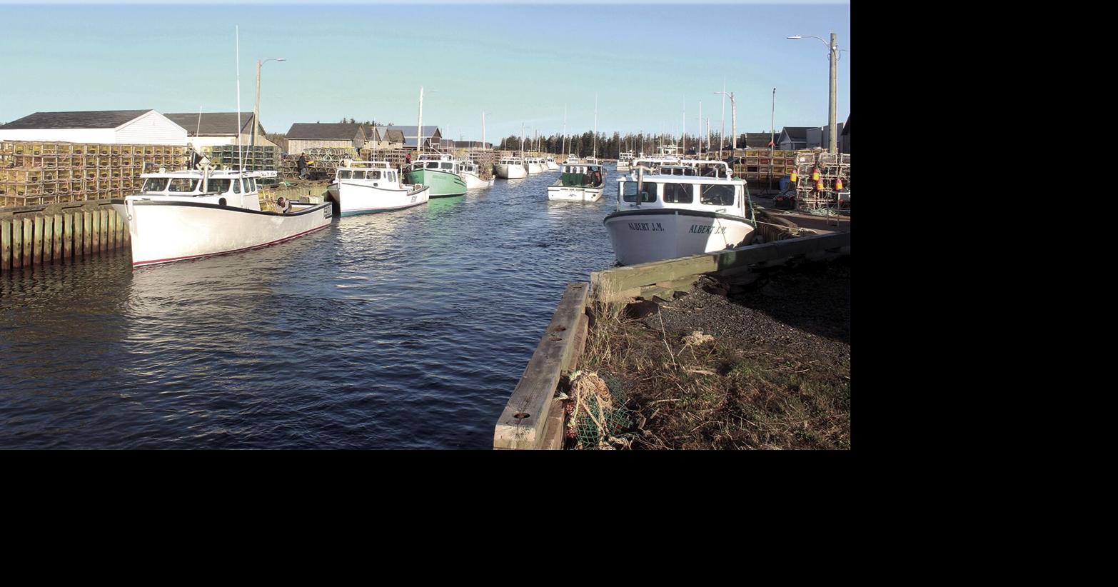 Setting Day 2022 in eastern PEI | The Eastern Graphic | peicanada.com