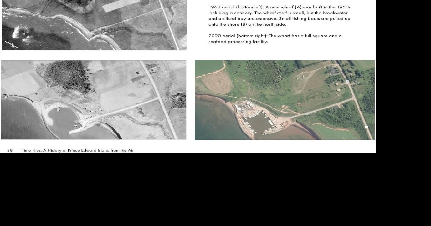 TimeFlies | West Prince Graphic | peicanada.com