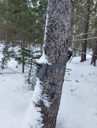 PEI Wildlife Conservation Fund helps Tignish Watershed Group with ...