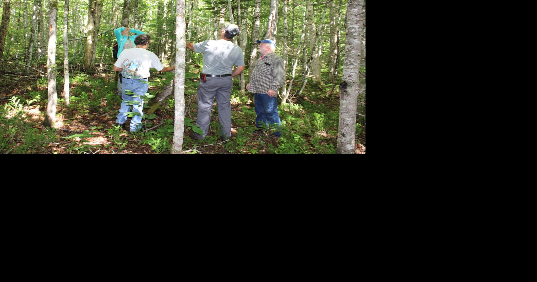 Woodlot owners explore biodiversity with a walk through the forest ...