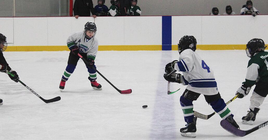 Morell Mustangs elect new board a year after controversial AGM | The ...
