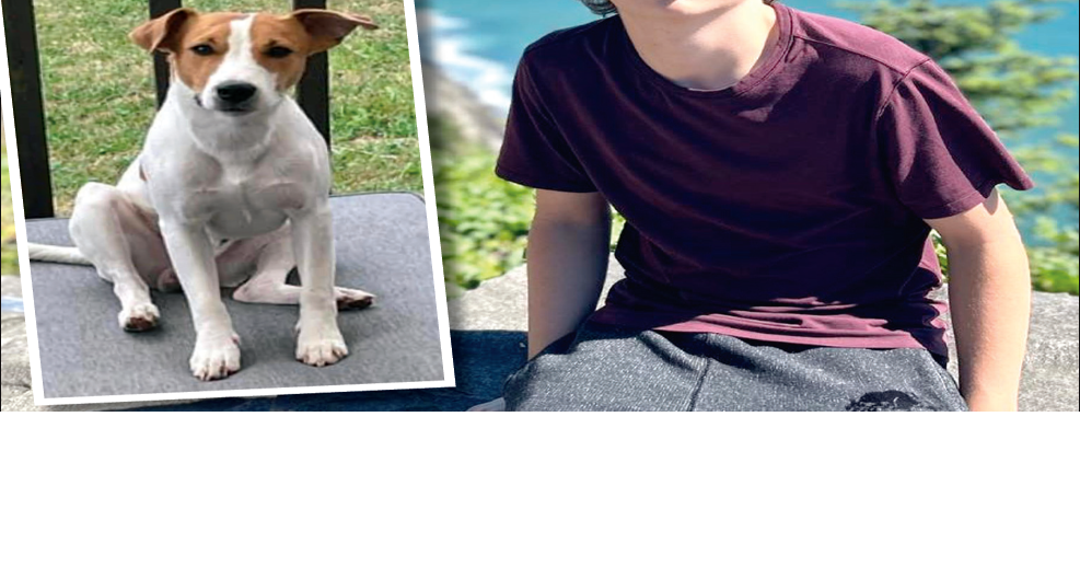 Teen and dog save the day for Alliston family | The Eastern Graphic ...