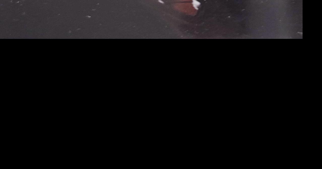 ‘A feeling of peace’: Byron Carr arrest resonates in eastern PEI | The ...