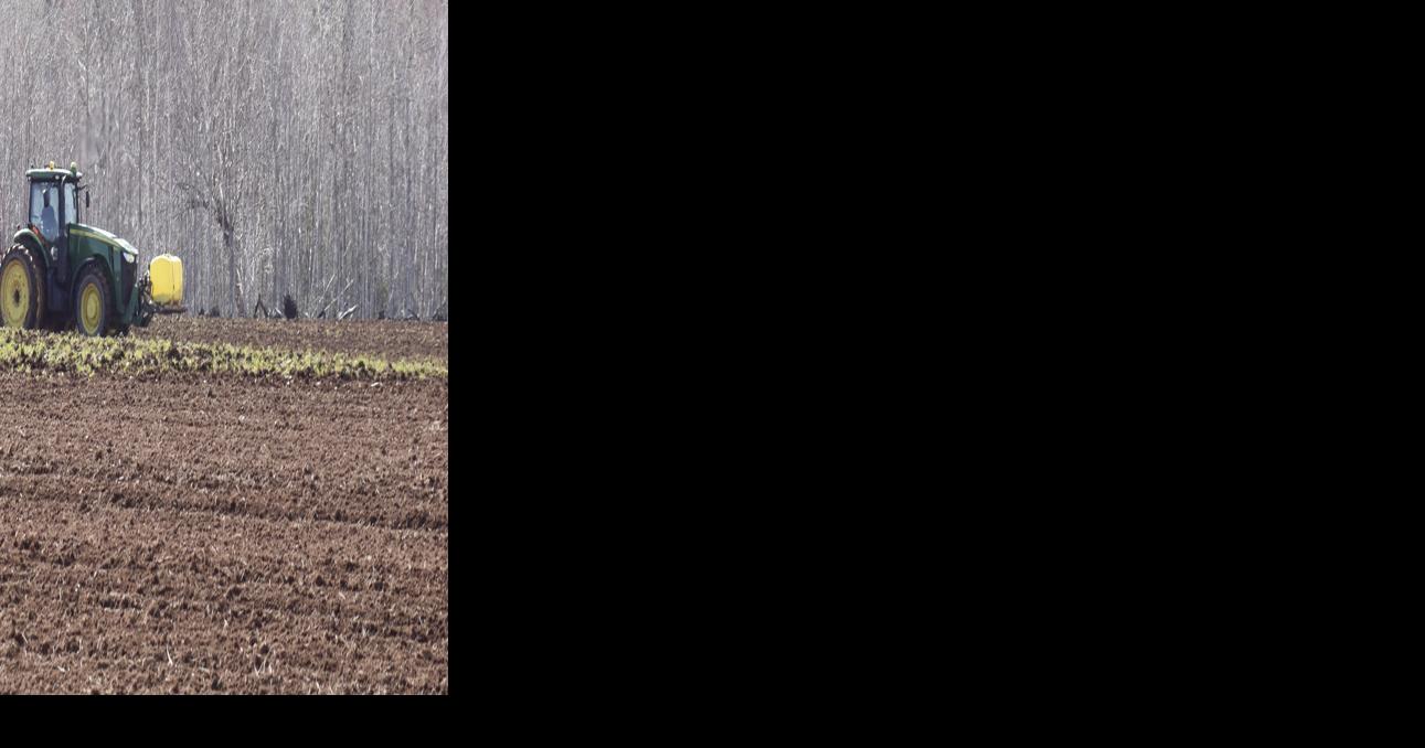 Spud farmers off to a positive start | The Eastern Graphic | peicanada.com
