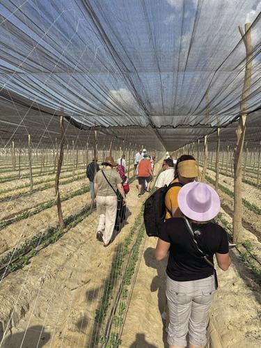 Target Tours expanding into agricultural tourism | Island Farmer ...