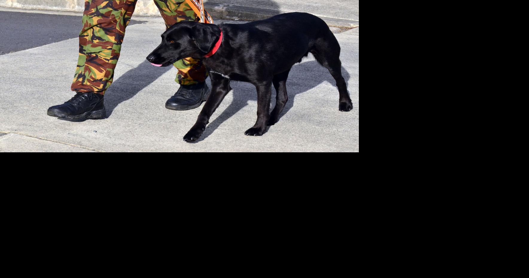 Soldier’s Best Friend fundraising event scheduled | News | peoriatimes.com