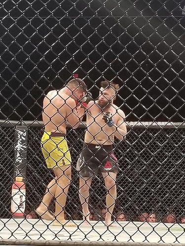 Ngannou knocks out Velasquez in UFC return to Arizona | Sports ...