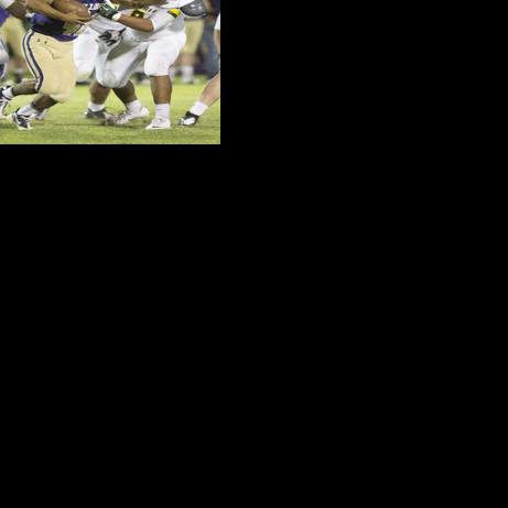 Panthers building on success now from a past model | Sports ...