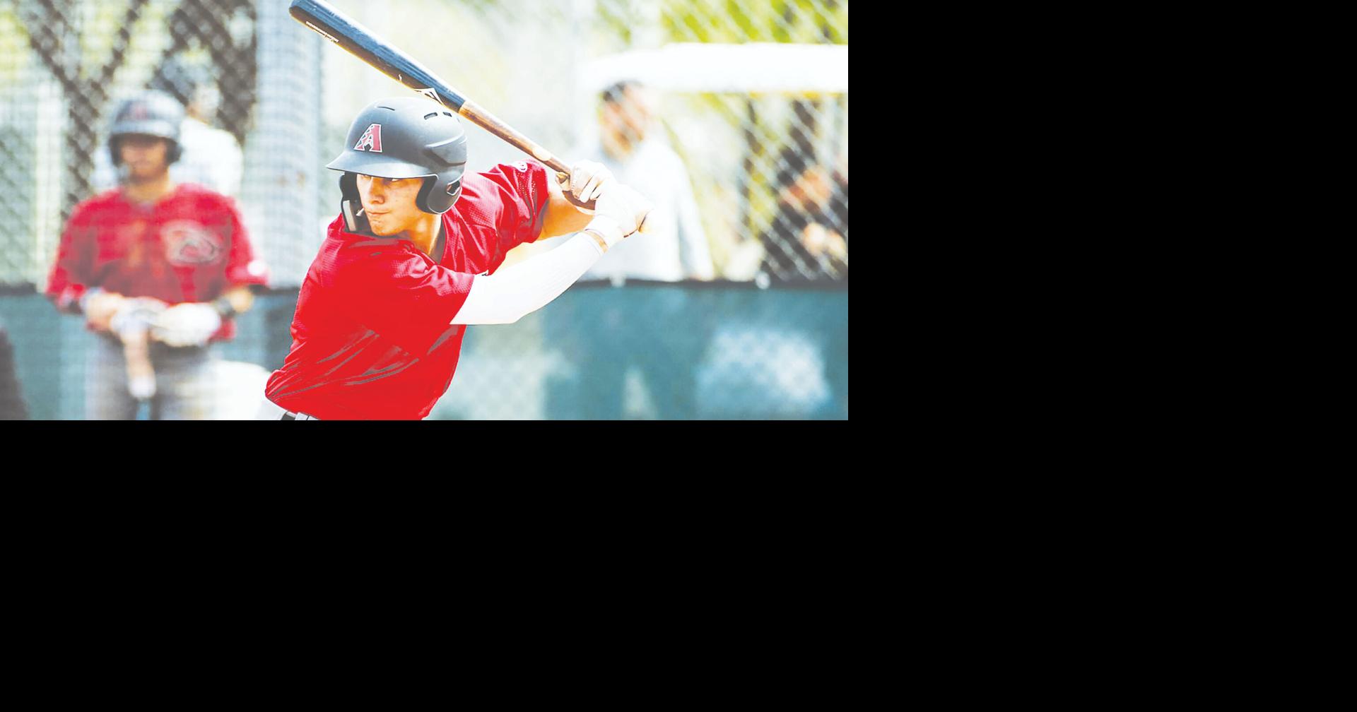 Young Diamondbacks determined to end postseason drought | Sports ...
