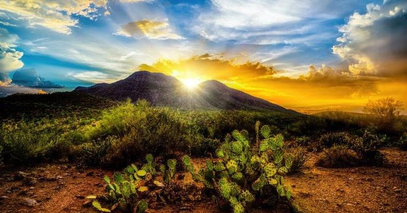 Photographer Keith Dines focus of WVAM reception | Features ...
