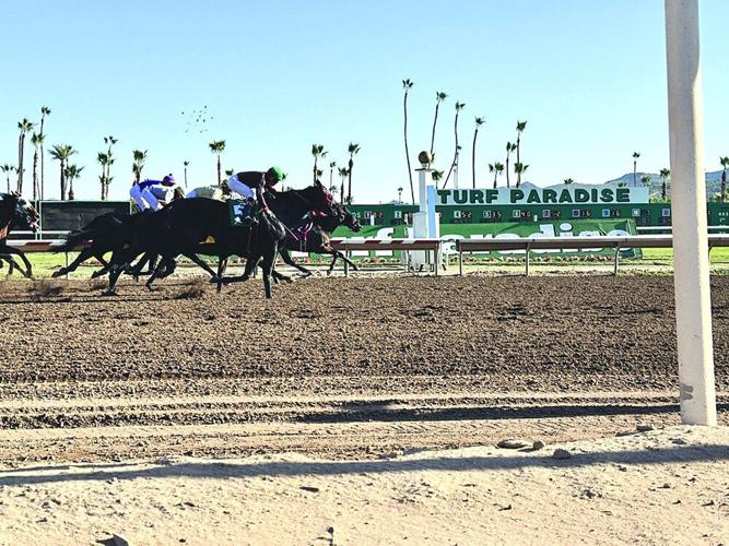 mostly cloudy race horse