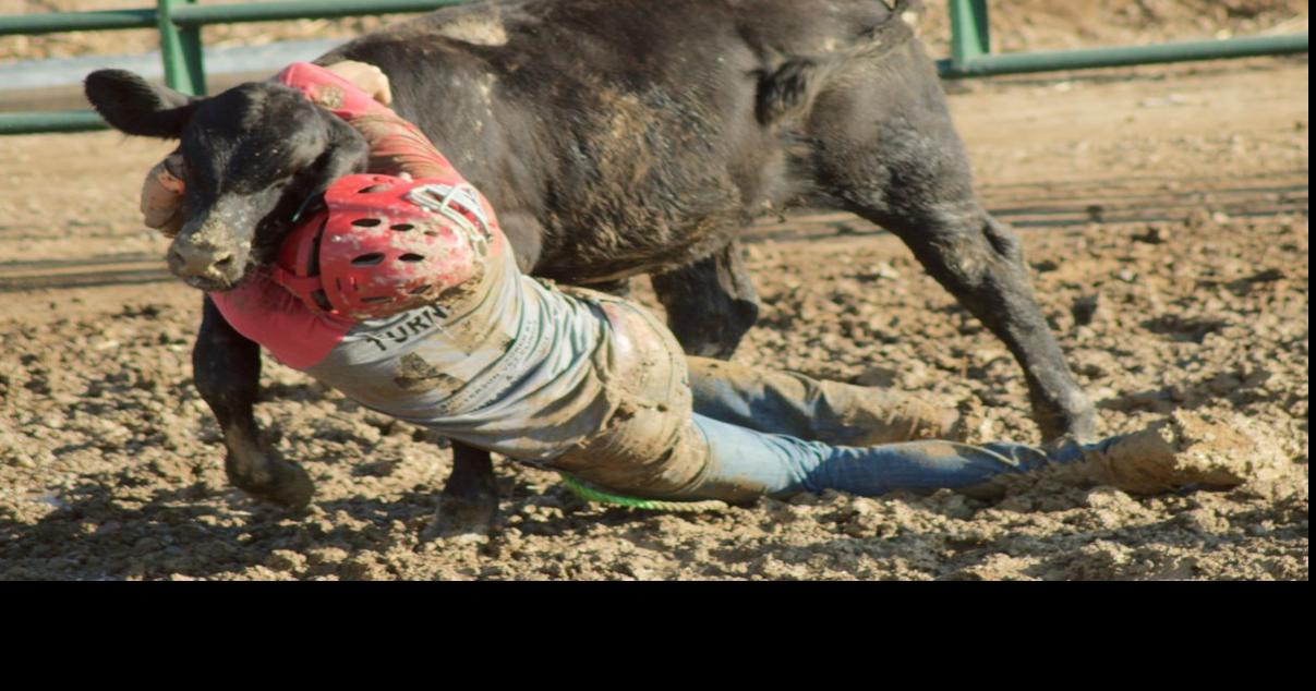 Calf Scramble captivates audience for fourth year | Sports ...