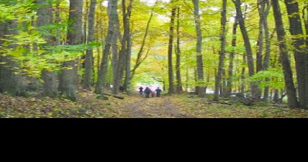 Take a hike to the Glenford Fort June 14 | Community | perrytribune.com