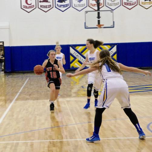 Plays not made cause one-point loss for Lady Panthers | Sports ...