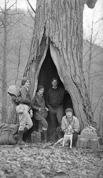 Save the Oaks! | Community | perrytribune.com
