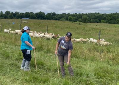 Perry County farm is site of educational tour | | perrytribune.com