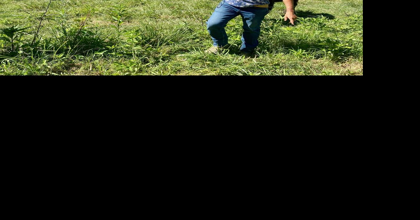 Cherokee Valley Bison Ranch opens doors to public for field day | News ...