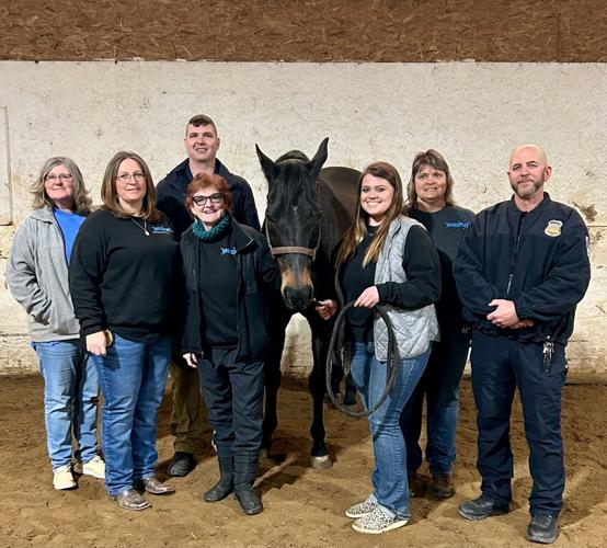 New juvenile court program lets horses help at-risk kids | News ...