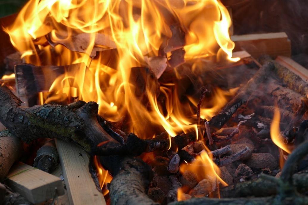 When did man’s ancestors first learn to use fire? | National ...