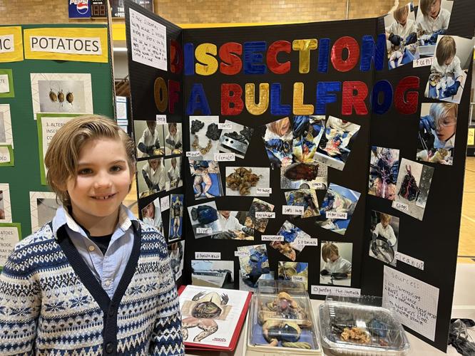 Young scientists showcase projects at Pioneer science fair | News ...