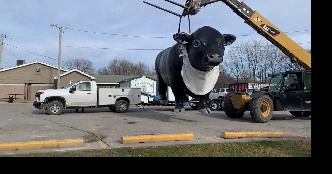 Video: The iconic bull is placed at Bullshipper's Cafe | Multimedia ...