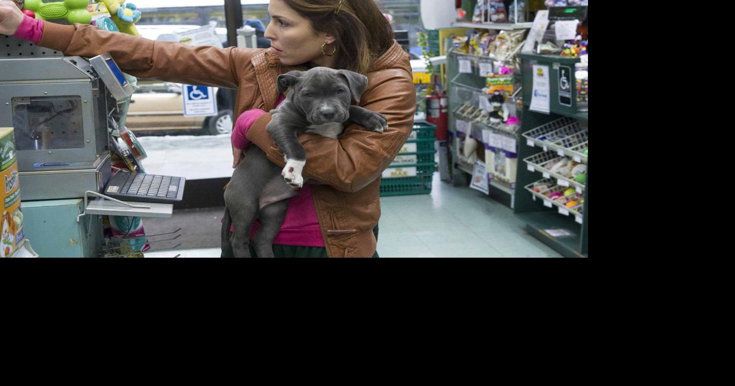 Top animal actors honored, including prolific primate | Features ...