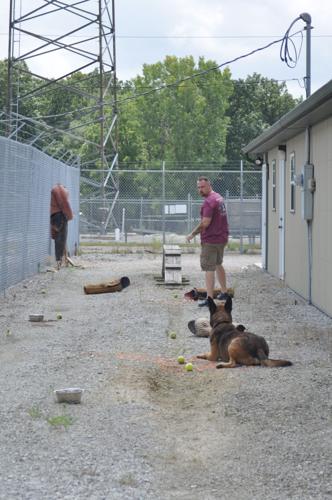 Cass County confirms partnership with Vohne Liche Kennels | News ...