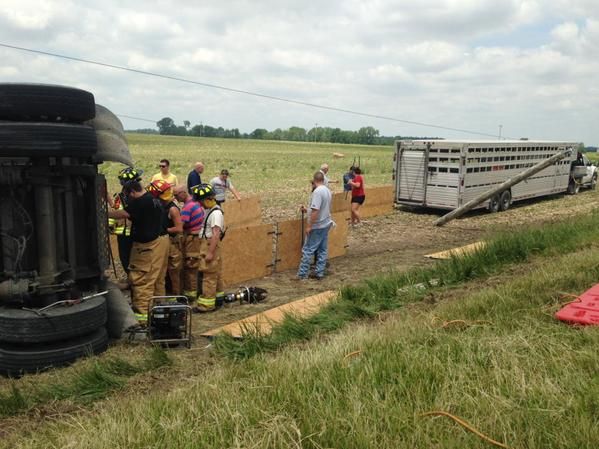 UPDATED: Livestock lost: Crews contain hogs after truck accident ...