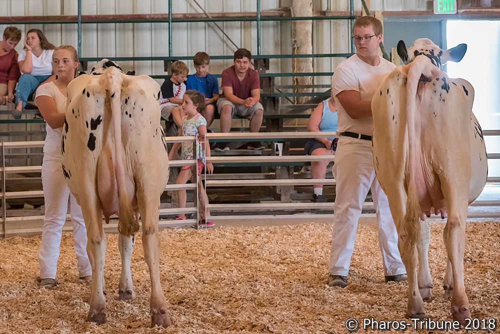 Friday At The Cass County Fair | Cass County Fair | pharostribune.com