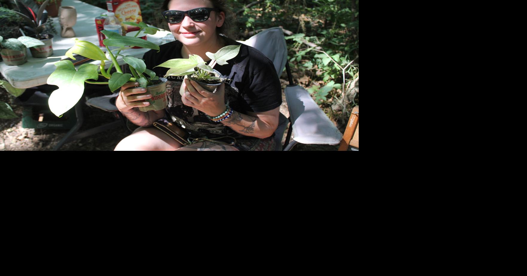 Hoosier Heartland Indiana, Plant Therapy host business resource ...