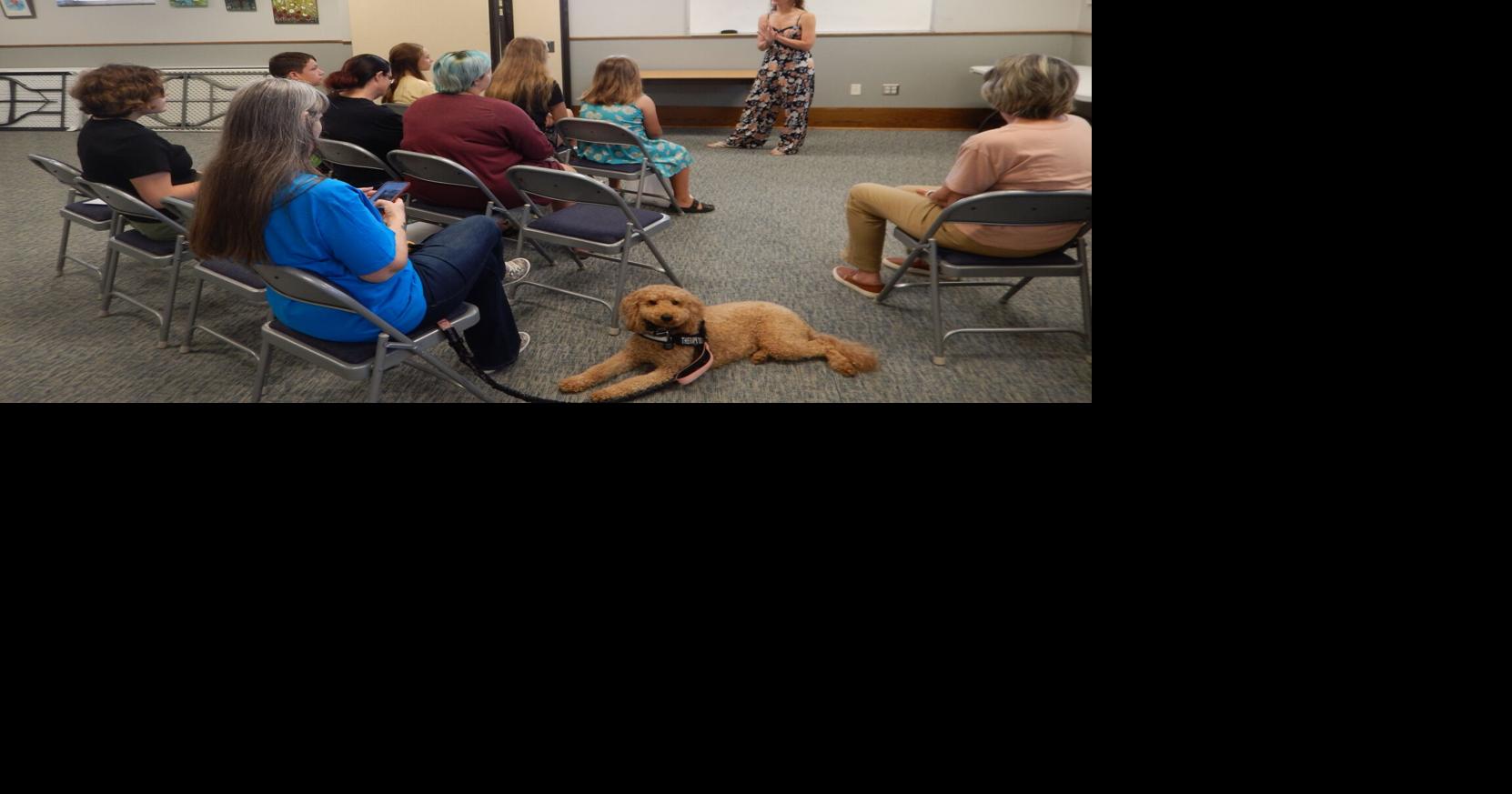 Walton Library hosts anti-bullying event | Community Happenings ...