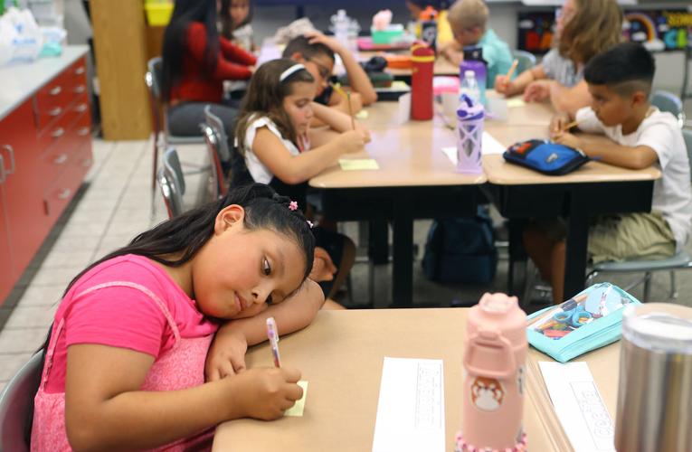 landis elementary school