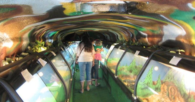 Fulton Fun Day schedule set for July 30; entry forms available | News ...