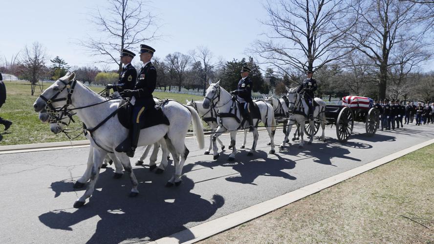 Army to begin limited use of horse-drawn caissons for Arlington ...