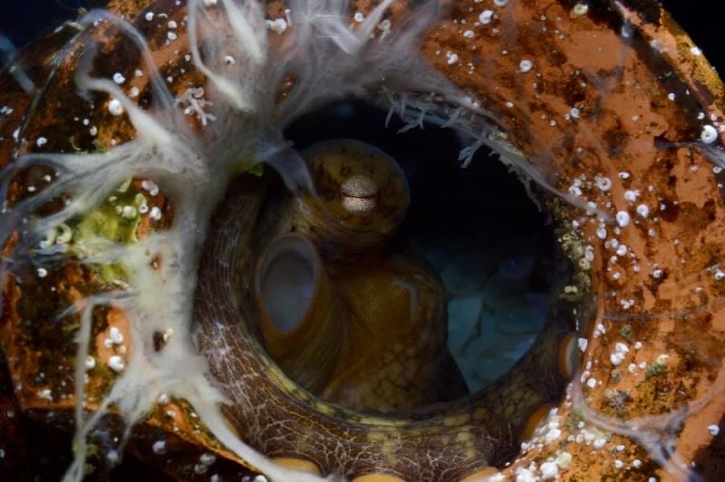 News and Notes About Science | Nyt | phillytrib.com