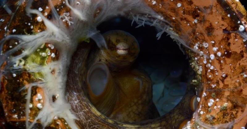 News and Notes About Science | Nyt | phillytrib.com