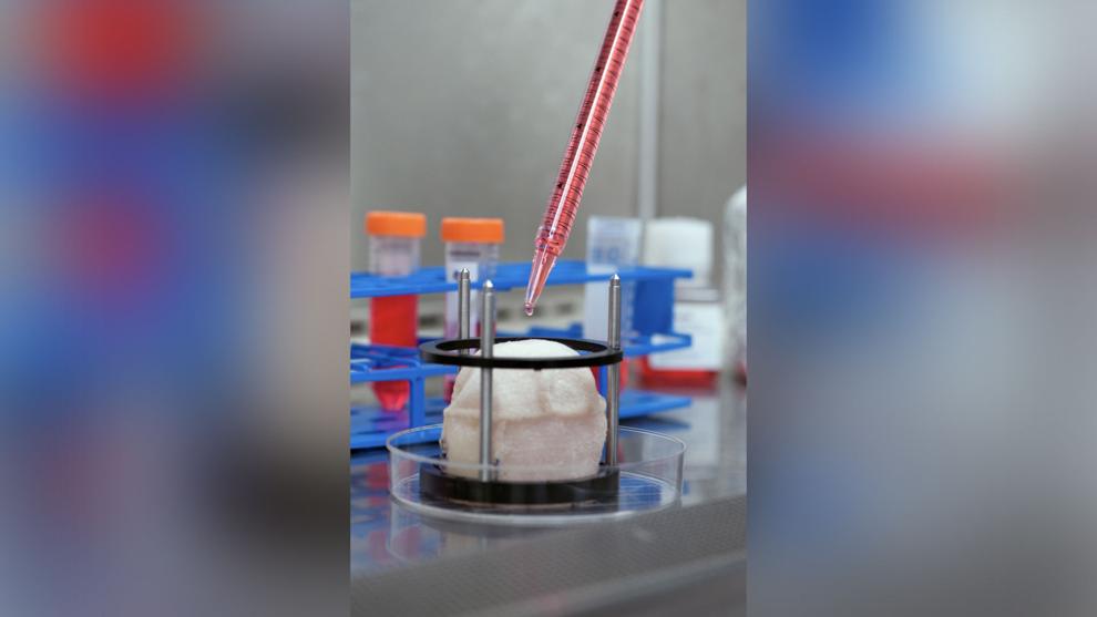 When We ll Be Able To 3D print Organs And Who Will Be Able To Afford when-we-ll-be-able-to-3d-print-organs-and-who-will-be-able-to-afford