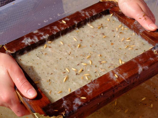 Conservation project uses invasive plant to make art | Lifestyle ...
