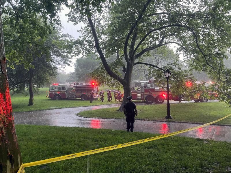 Boy, 15, Survives Lightning Strike in Central Park, Police Say | Nyt ...