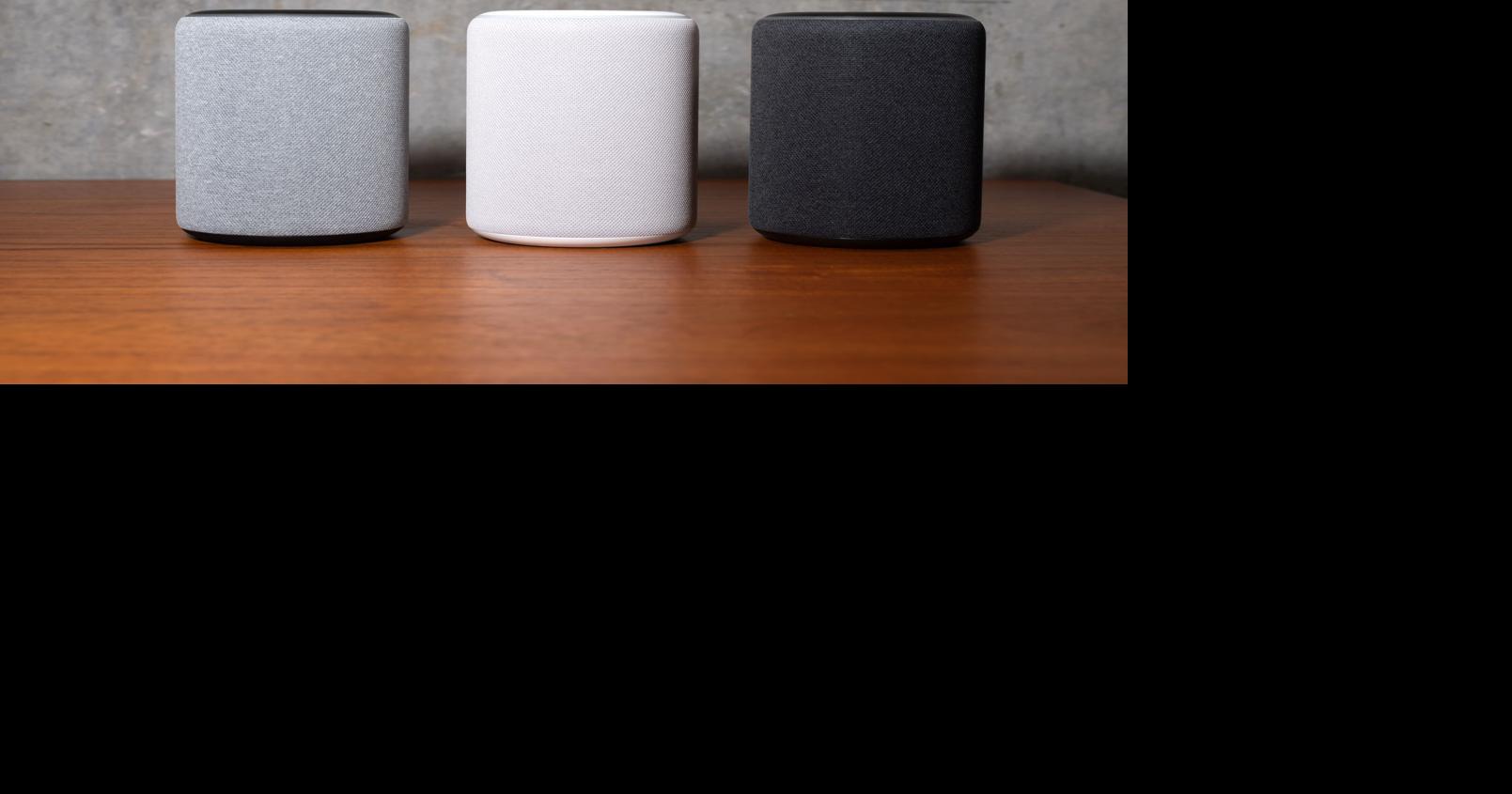 B1 bug | | phillytrib.com