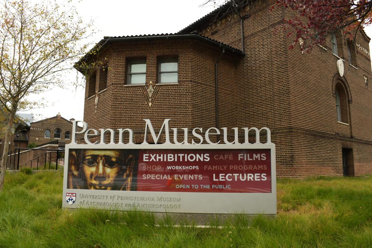 Penn Museum's 130-Year-Old Building Transformation: Construction ...