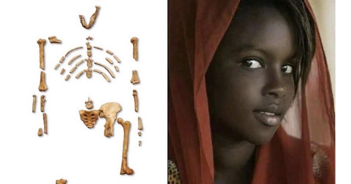 50 years ago, fossils of world's first human- a 3.2 million year old ...