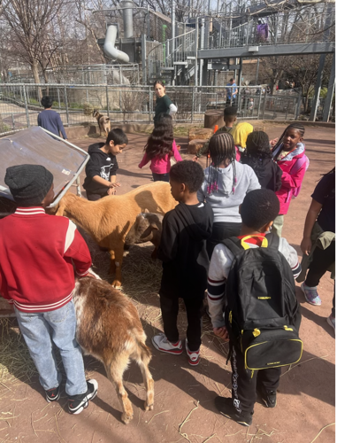 School of the Week: Waring School seeks learning opportunities in and ...