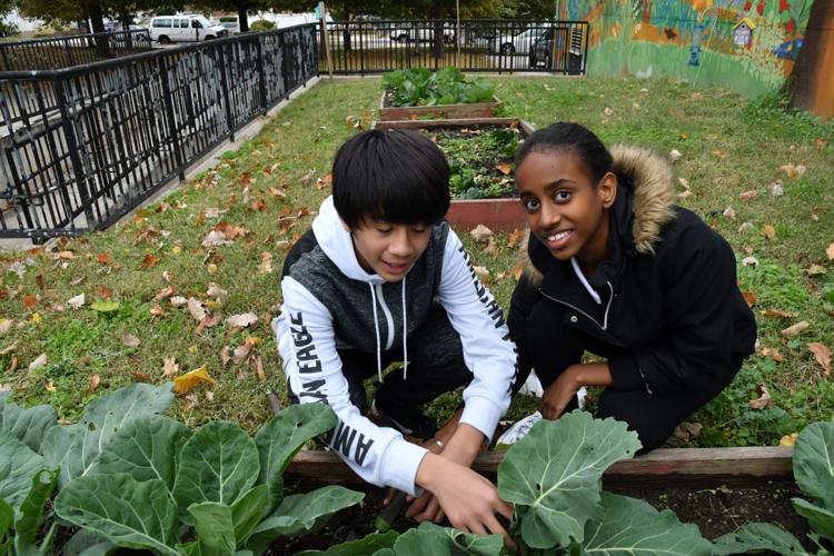 Penrose's programs create well-rounded students | The Learning Key ...