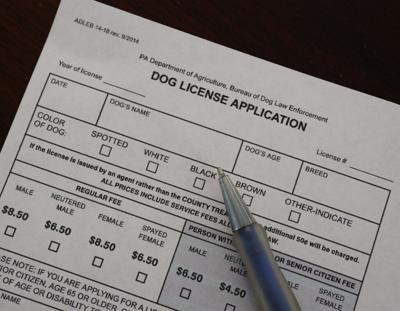 Support grows for modernizing PA. dog law, increasing fees ...