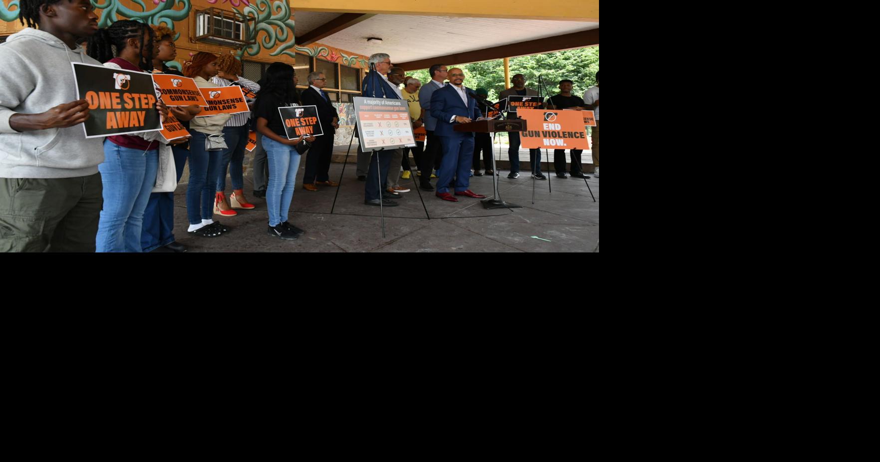 City officials, community groups urge: Support red flag laws, universal ...