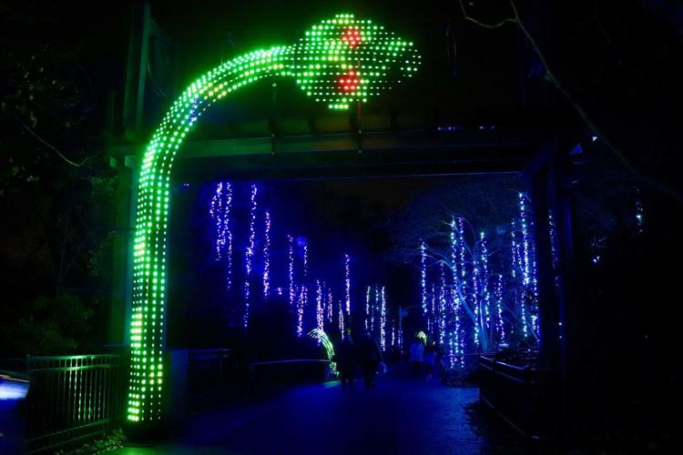 Photo Gallery: LumiNature Preview at the Philadelphia Zoo | Lifestyle ...