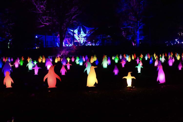 Photo Gallery: LumiNature Preview at the Philadelphia Zoo | Lifestyle ...